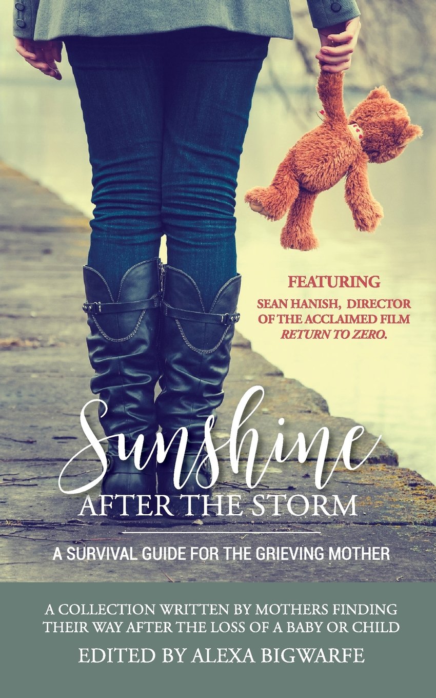 Sunshine After The Storm: For The Grieving Mother